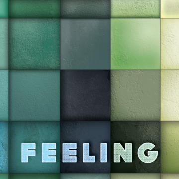 FEELING (DVD)